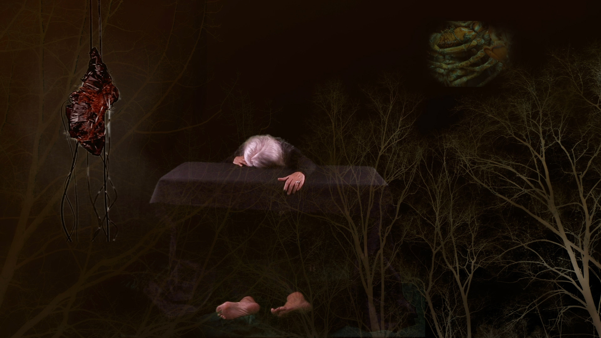 Caring For Your Carcass – Independent Shorts Awards