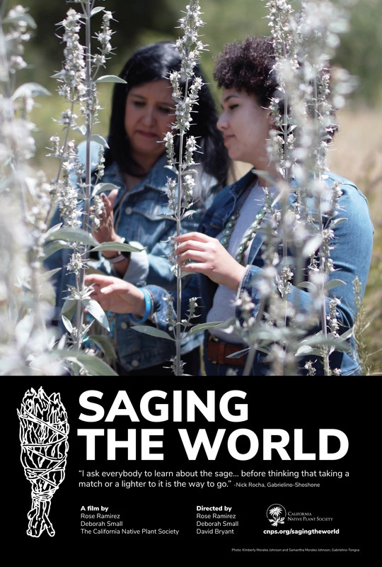 Saging the World – Independent Shorts Awards
