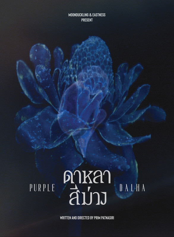 Purple Dalha – Independent Shorts Awards