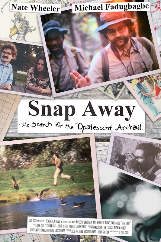 Snap Away: The Search for the Opalescent Arctail – Independent Shorts ...