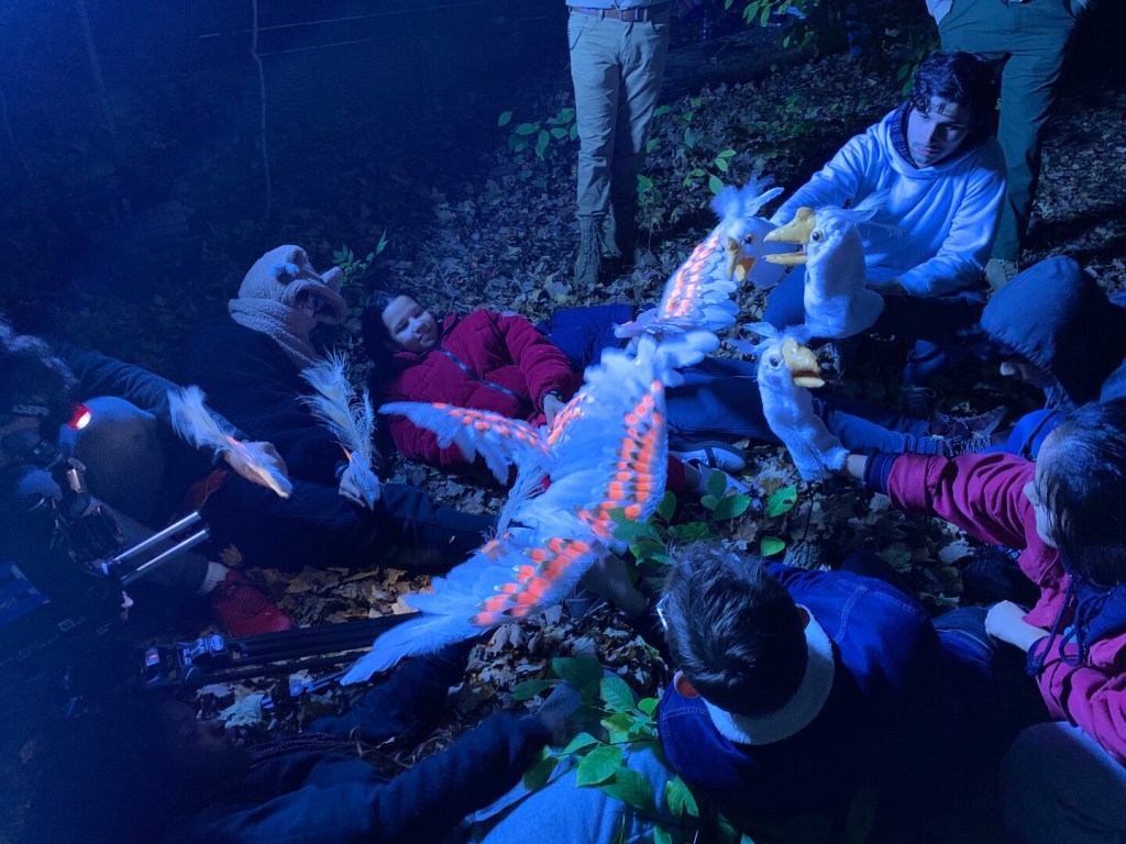 Snap Away: The Search for the Opalescent Arctail – Independent Shorts ...