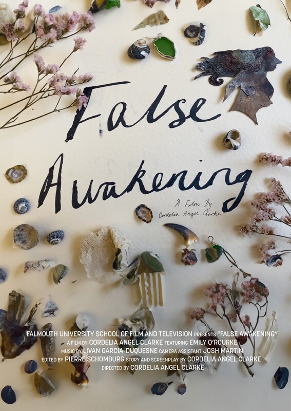 False Awakening – Independent Shorts Awards