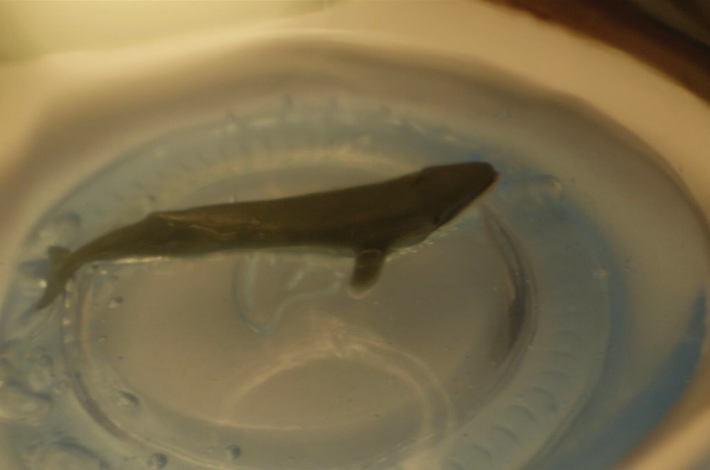 Family Group Chat – Independent Shorts Awards