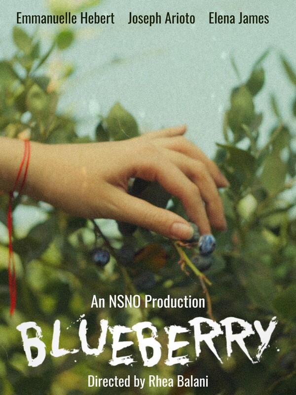 Blueberry Independent Shorts Awards